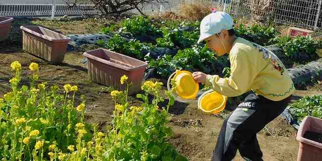 1月10日（土） | 草加なかよし保育園｜草加市認可保育園-保育士求人募集中